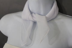 Sheer Fabric Mini Scarf – alwaystyle4you
