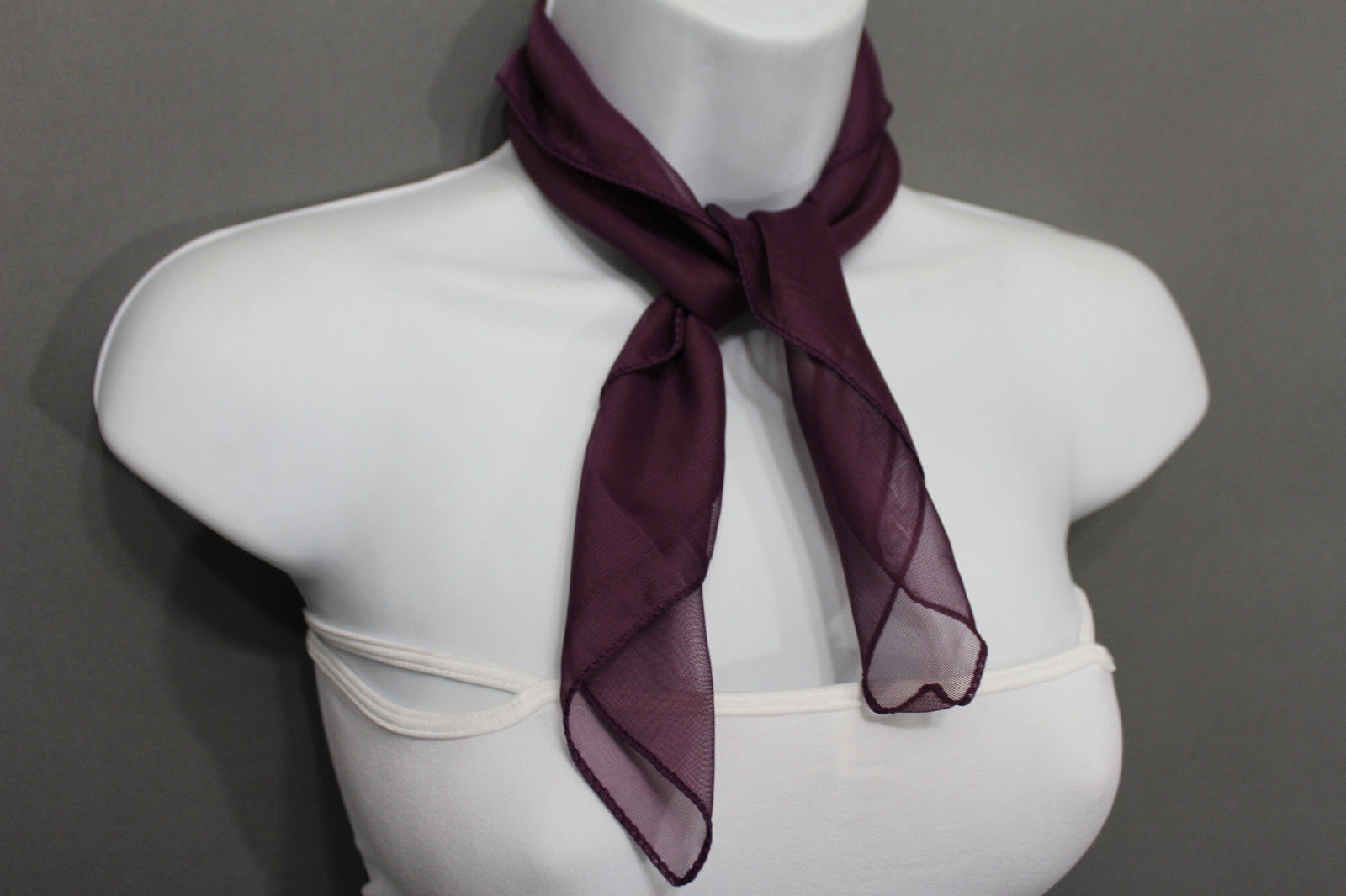 Sheer Fabric Mini Scarf – alwaystyle4you