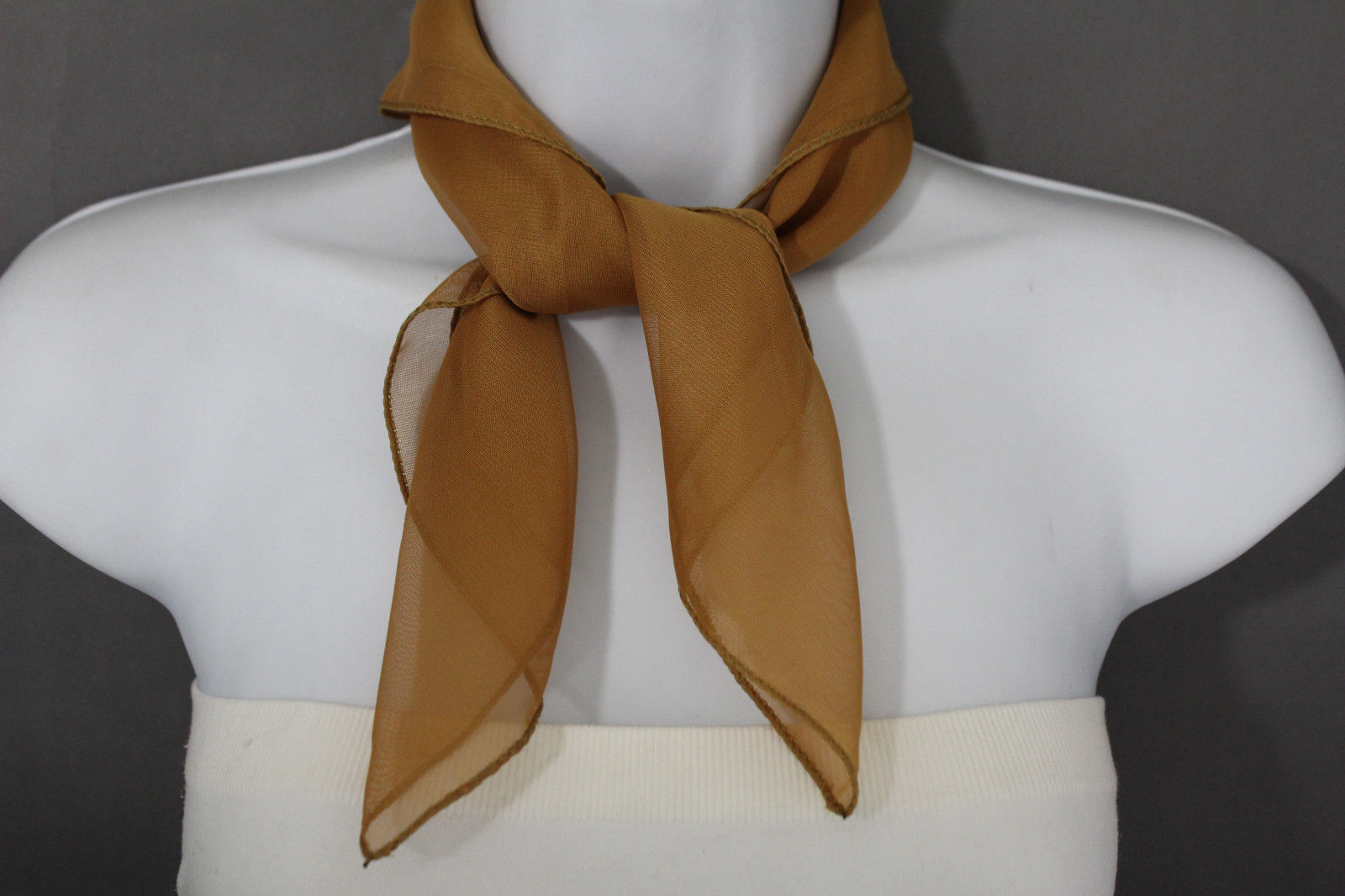 Sheer Fabric Mini Scarf – alwaystyle4you